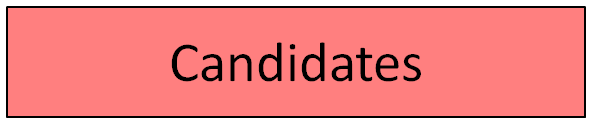 The Election – James P Gray 4 NH Senate